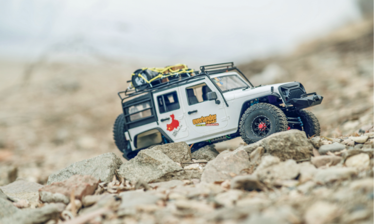 5 Best RC Rock Crawlers (2024 Review & Buying Tips)